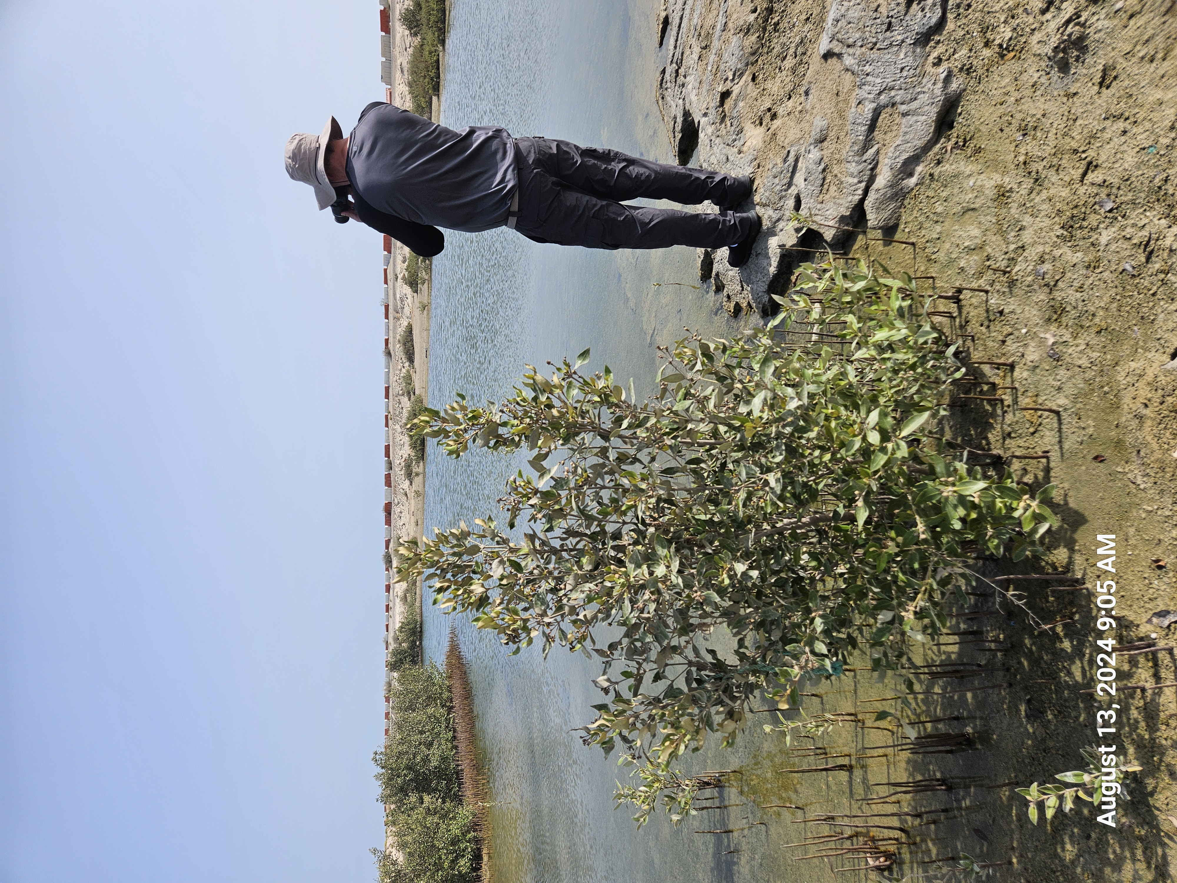 How Terra Nexus Applies ‘Building with Nature’ in Large-Scale GCC Projects | Inogen